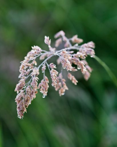 The Natural World | david taylor landscape photography