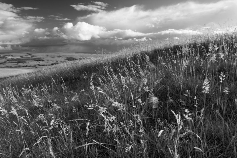 About David – david taylor landscape photography
