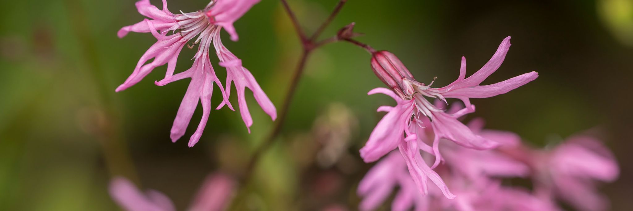 David Taylor Landscape Photography
